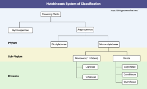 Systems of Classification - Artificial, Natural and Phylogenetic ...
