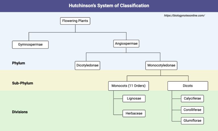 Systems of Classification - Artificial, Natural and Phylogenetic ...