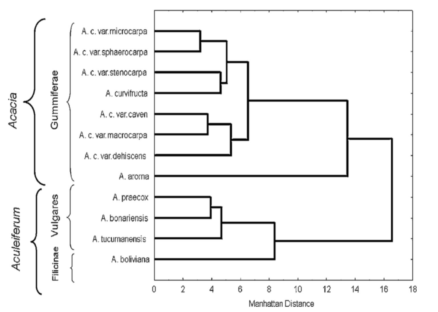 Biometrics, Numerical taxonomy and Cladistics - Biology Notes Online