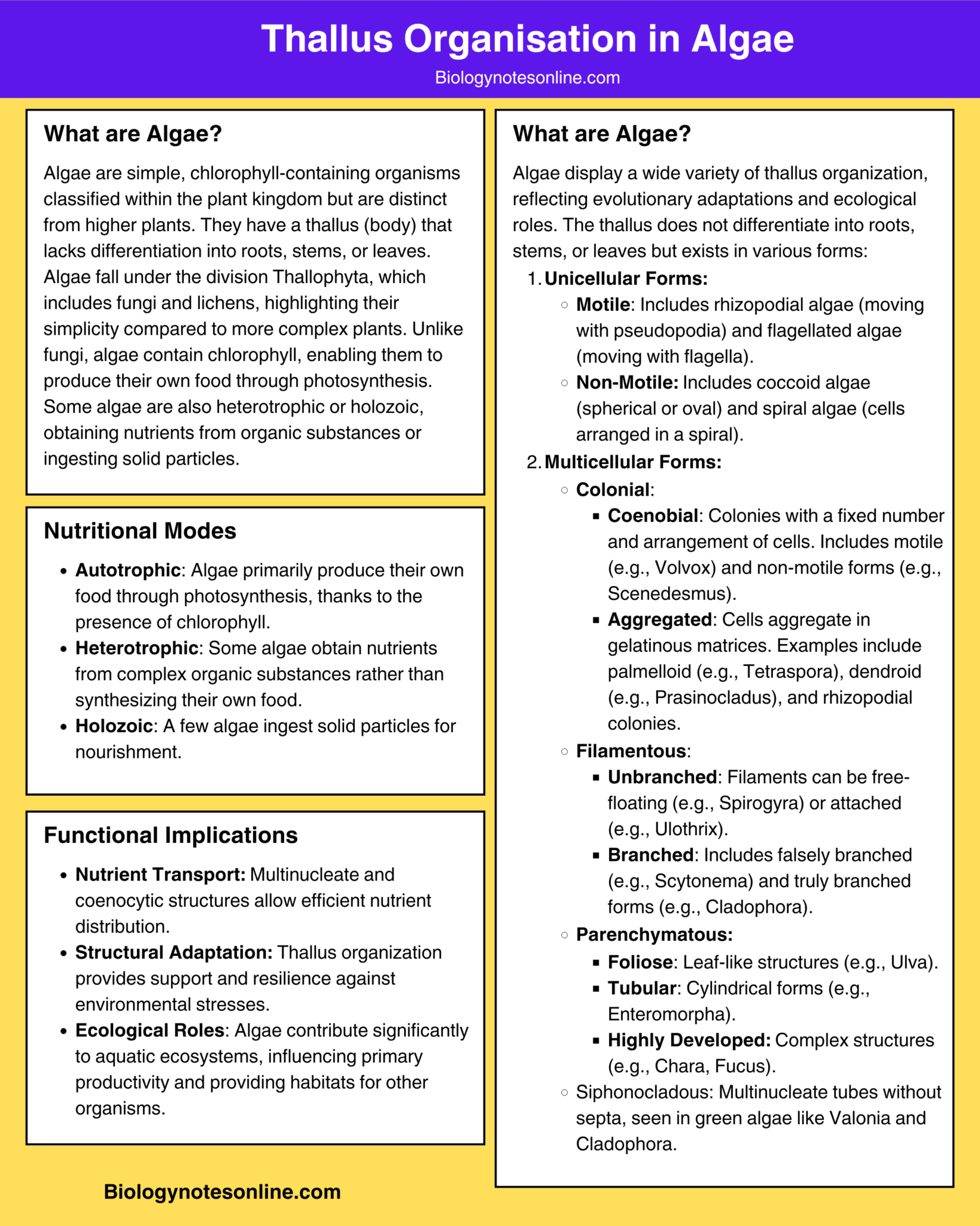 Thallus Organisation in Algae - Types, Structure, Examples - Biology ...