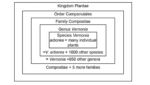 Taxonomic Hierarchy - Ranks, Categories and Taxonomic groups - Biology ...