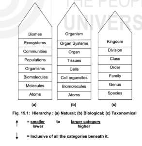 Taxonomic Hierarchy - Ranks, Categories and Taxonomic groups - Biology ...