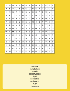 500+ Biology Crossword Puzzle With answer Key Pdf Free Download ...