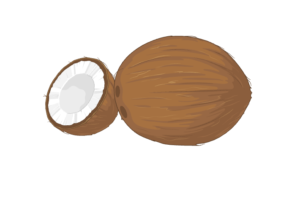 General description of Vegetable Oils and Fats - Biology Notes Online