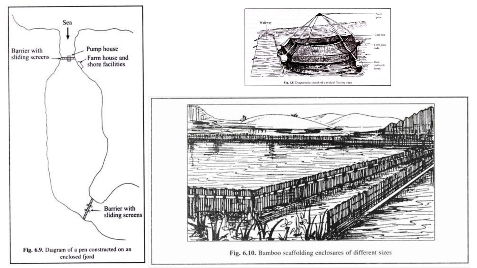 Fish Fins - Structure, Types, Functions - Biology Notes Online