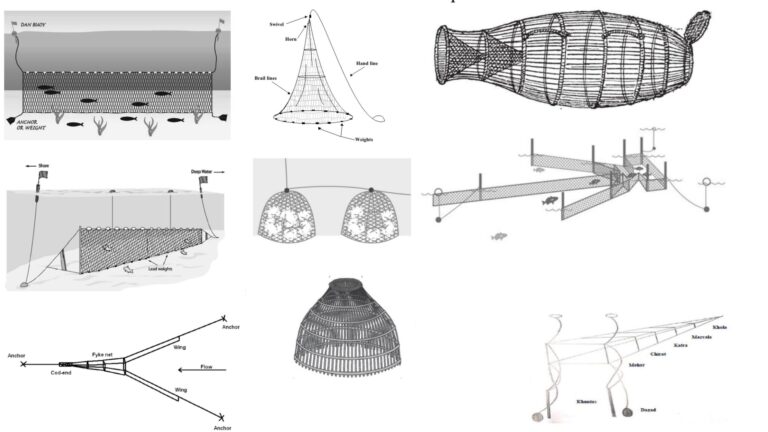 Fishing Crafts And Gears - Definition, Types, Examples - Biology Notes ...