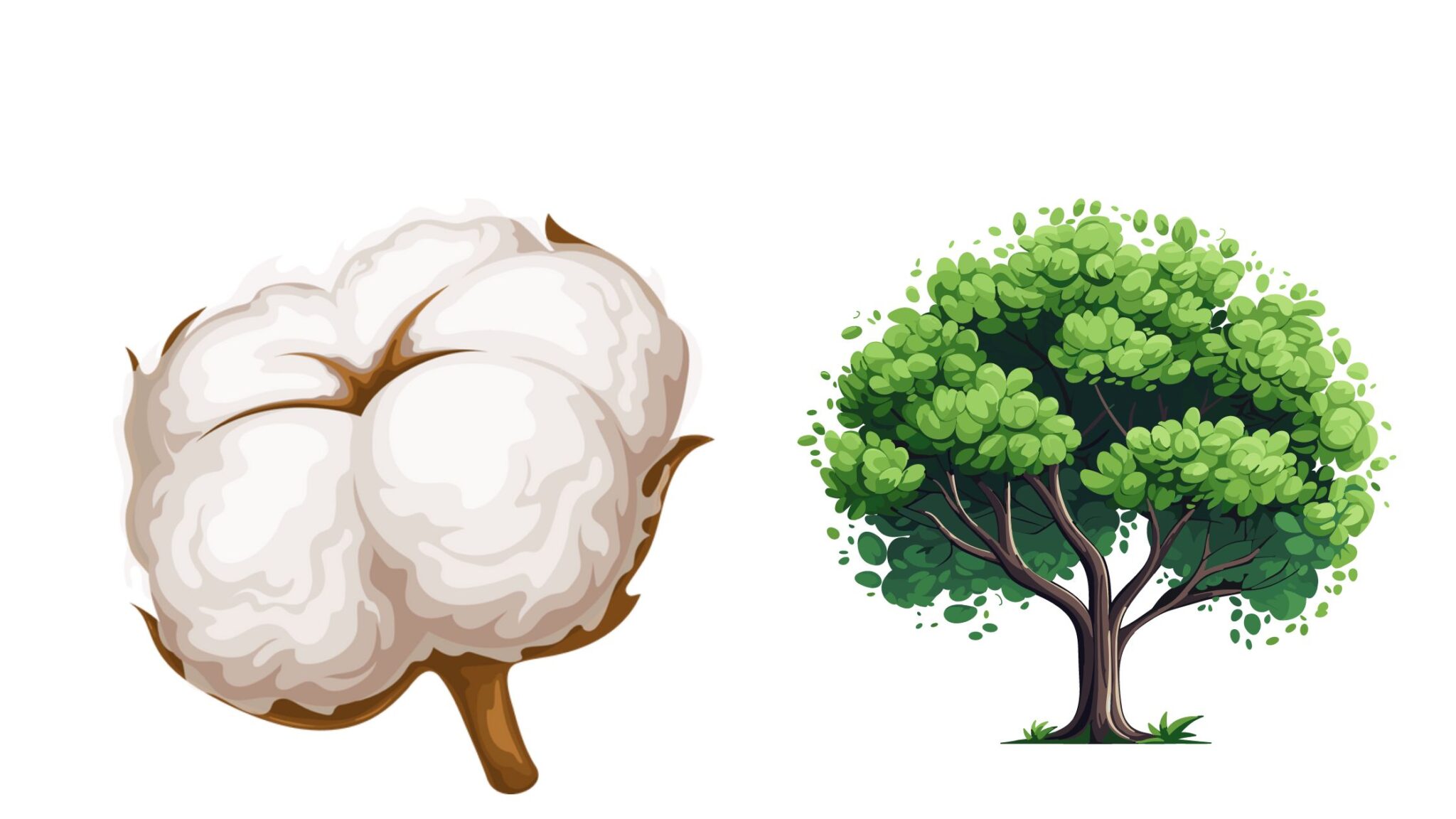 General Descriptions Of Spices With Definition, Examples, Importance ...