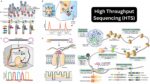 Transposable elements - Definition, Types, Examples, Application ...