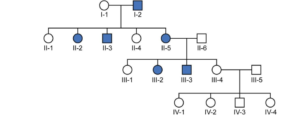 Pedigree Analysis - Types, Chart, Symbols, Methods, Examples - Biology ...