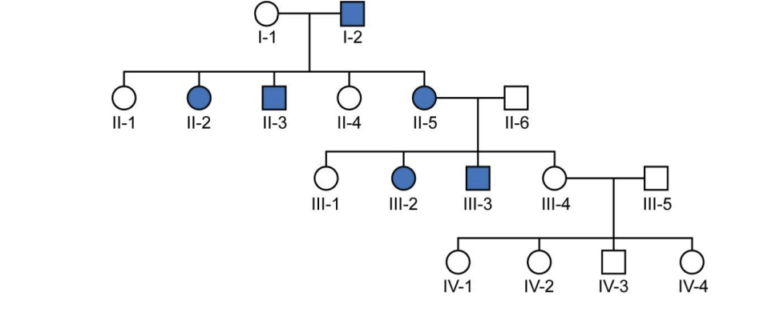 Pedigree Analysis - Types, Chart, Symbols, Methods, Examples - Biology ...