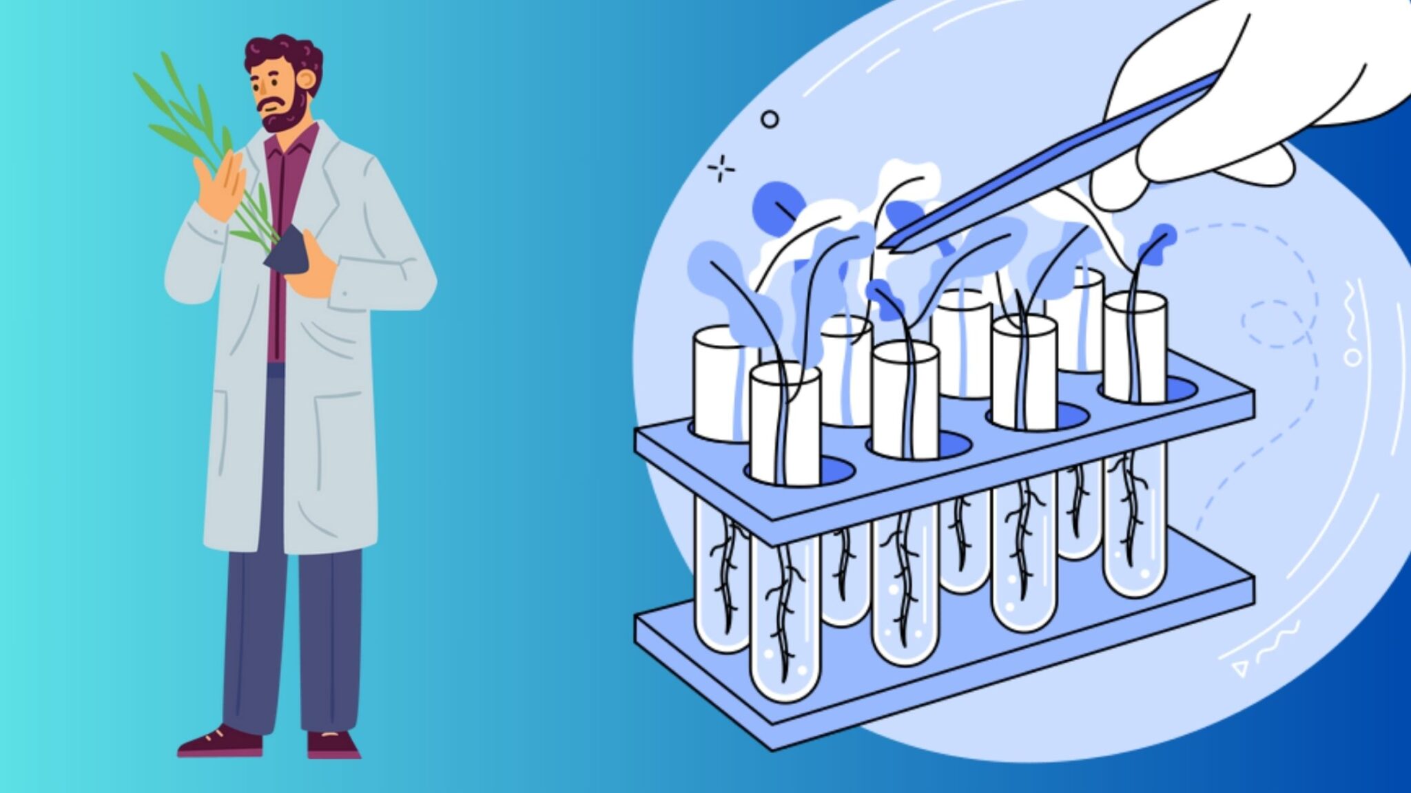 Modes of Reproduction and Pollination in Crop Plants - Biology Notes Online