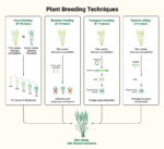 Mutation Breeding - Mutations in Crop Improvement - Biology Notes Online