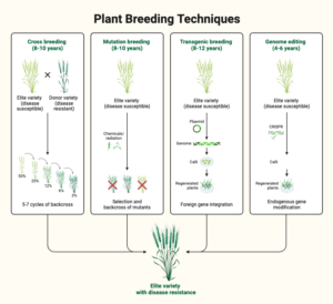 Mutation Breeding - Mutations in Crop Improvement - Biology Notes Online
