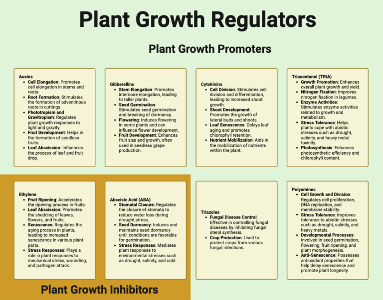 Plant Growth Regulators - Types, Characteristics, Functions, Examples ...