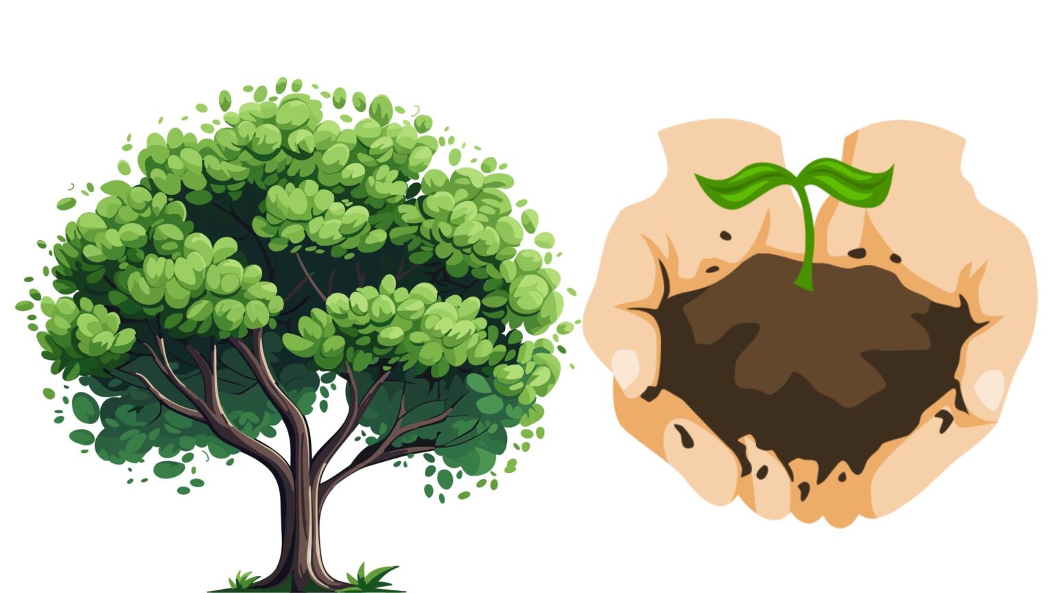 Plant Breeding - Introduction, History, Objective, Methods - Biology ...