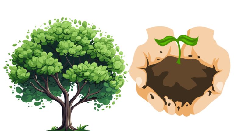 Quantitative Inheritance in Plant Breeding - Biology Notes Online