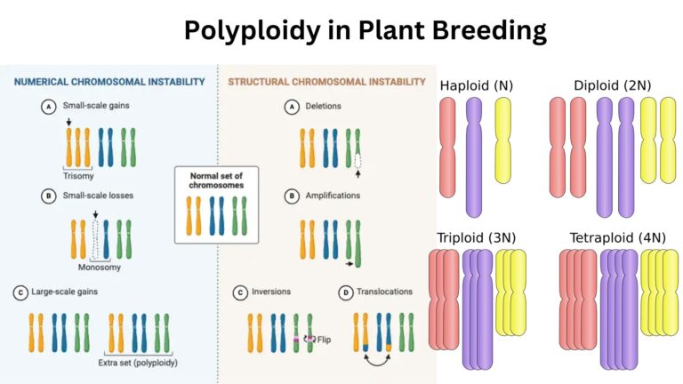 Modes of Reproduction and Pollination in Crop Plants - Biology Notes Online