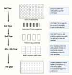 Mutation Breeding - Mutations in Crop Improvement - Biology Notes Online