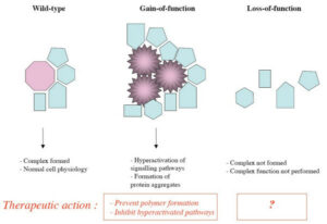 Types of Mutations - Biology Notes Online