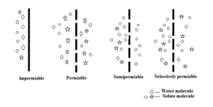 What is Plant Water Relation? - Biology Notes Online