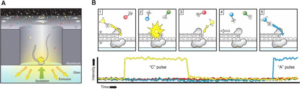High Throughput Sequencing (HTS) - Principle, Steps, Applications ...