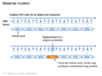 Missense Mutation - Definition, Types, Causes, Examples - Biology Notes ...