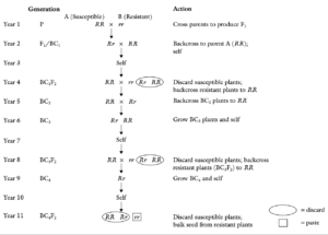 Selection Methods For Self Pollinated Plants - Breeding Self-pollinated ...