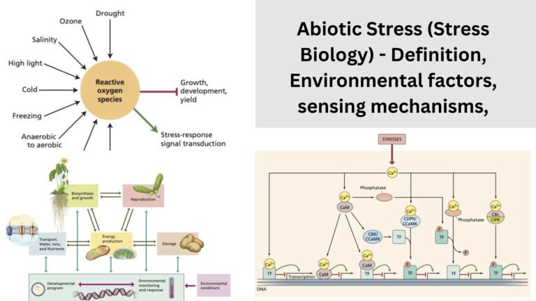 Signal Transduction In Plants - Biology Notes Online