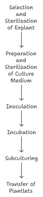 Plant Tissue Culture - Definition, techniques, Media composition, types ...
