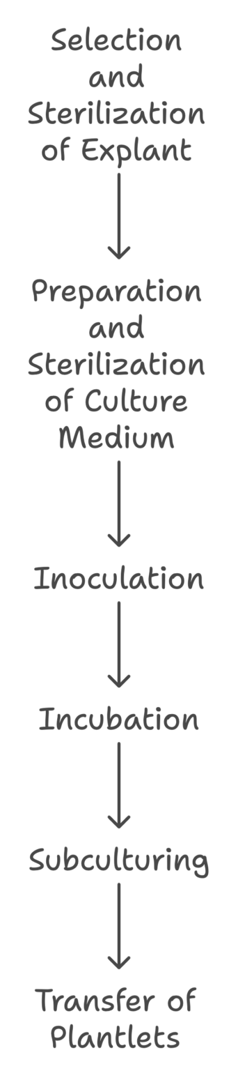 Plant Tissue Culture - Definition, techniques, Media composition, types ...