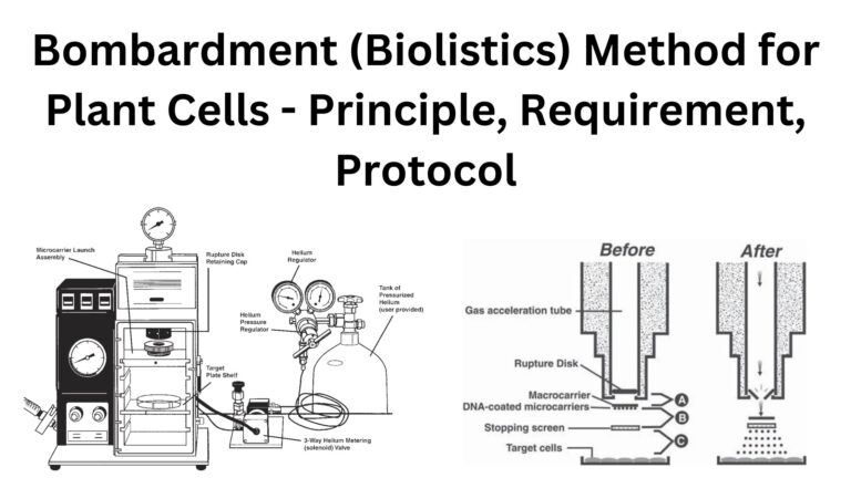 Bt Crops - Definition, Types, Advantages, Limitations - Biology Notes ...