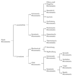 Movements In Plants - Definition, Classification, Mechanism, Examples ...