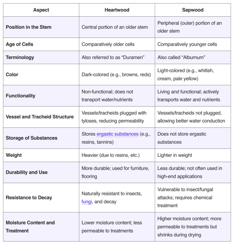 Spectrometer vs Spectrophotometer - Biology Notes Online
