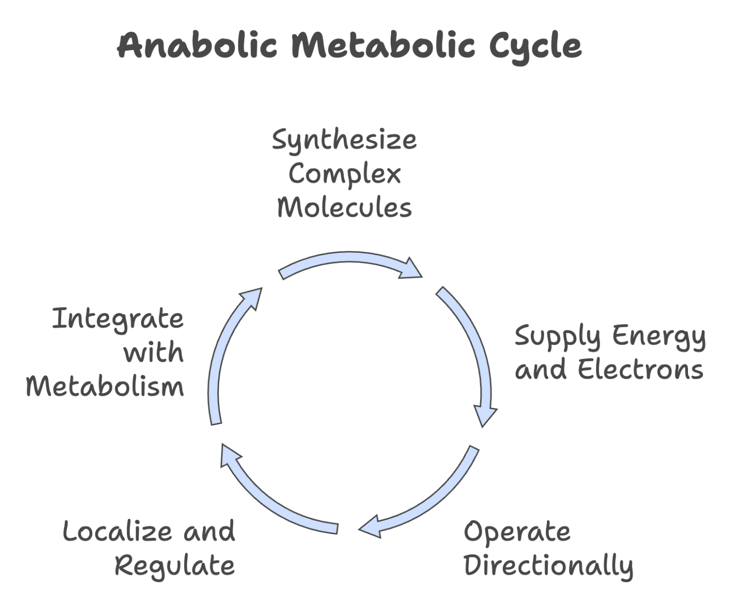 Plant Metabolism - Introduction, anabolic and catabolic pathways ...