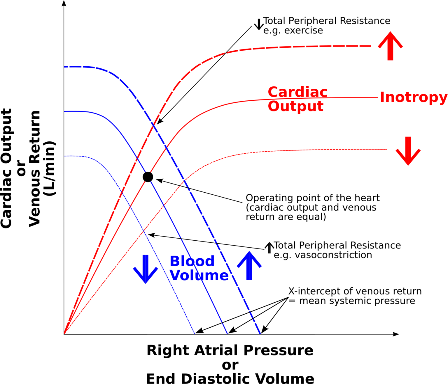 Synapse - Definition, Structure, Principles, Types & Function - Biology ... Synapse - Definition, Structure, Principles, Types & Function - Biology ...