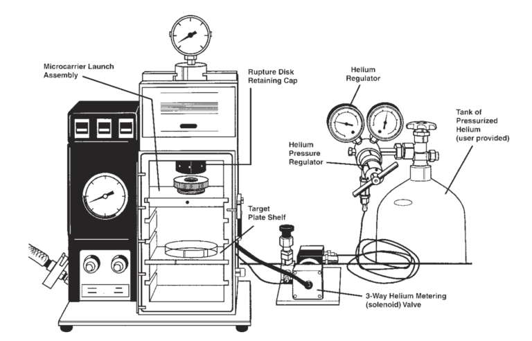 Bombardment (Biolistics) Method for Plant Cells - Principle ...