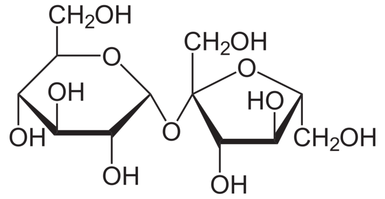 Carbohydrate metabolism In Plant- Synthesis and catabolism of sucrose ...