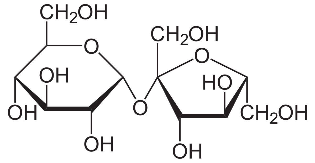 Carbohydrate metabolism In Plant- Synthesis and catabolism of sucrose ...