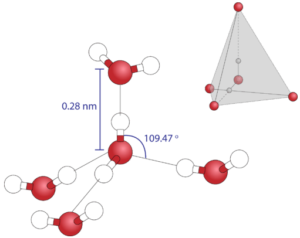 Structure of Water and Hydrogen Bonding - Biology Notes Online