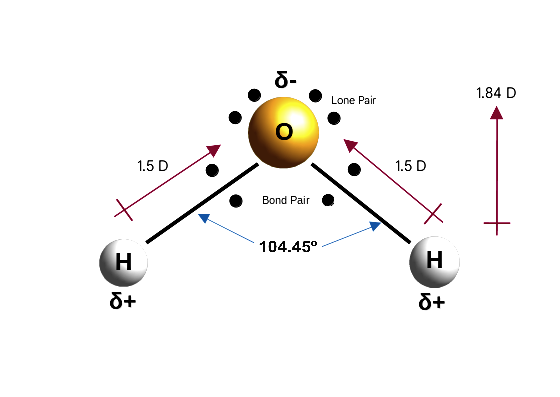 H2o Water Structure