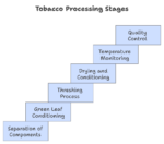 Tobacco Plant - Morphology, Processing, Uses and Health Hazards ...