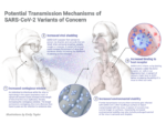 Communicable Diseases - Types, Transmission, Control - Biology Notes Online