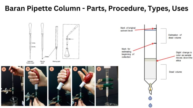 GasPak Anaerobic System - Principle, Parts, Application - Biology Notes ...