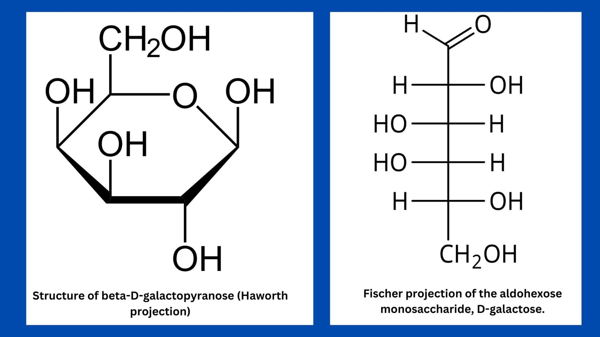 Galactose Metabolism - Steps, Importance, Leloir Pathway - Biology ...