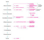Glycolysis – Definition, Steps, Enzymes, Regulation, Result – Biology ...