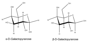 Galactose Metabolism - Steps, Importance, Leloir Pathway - Biology ...