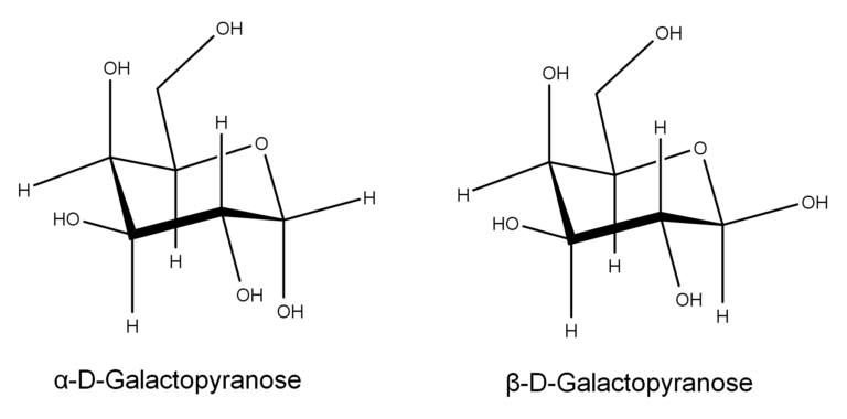 Galactose Metabolism - Steps, Importance, Leloir Pathway - Biology ...
