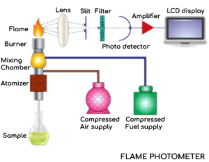 Flame Photometer - Principle, Parts, Procedure, Applications - Biology ...
