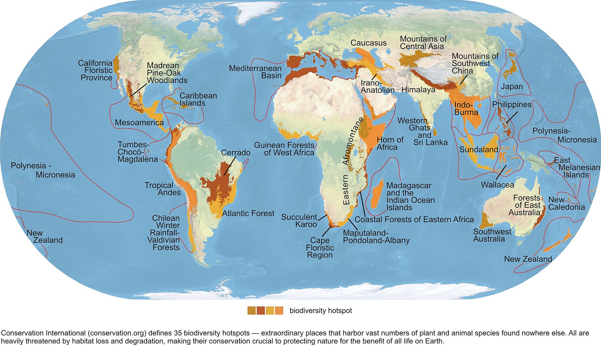Biodiversity Hotspots - Definition, Criteria, Importance, Examples ...