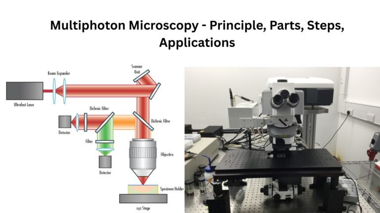 Coarse Adjustment and Fine Adjustment Knob of Microscope - Biology ...